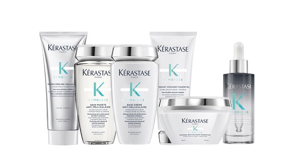 Discover our Collections
